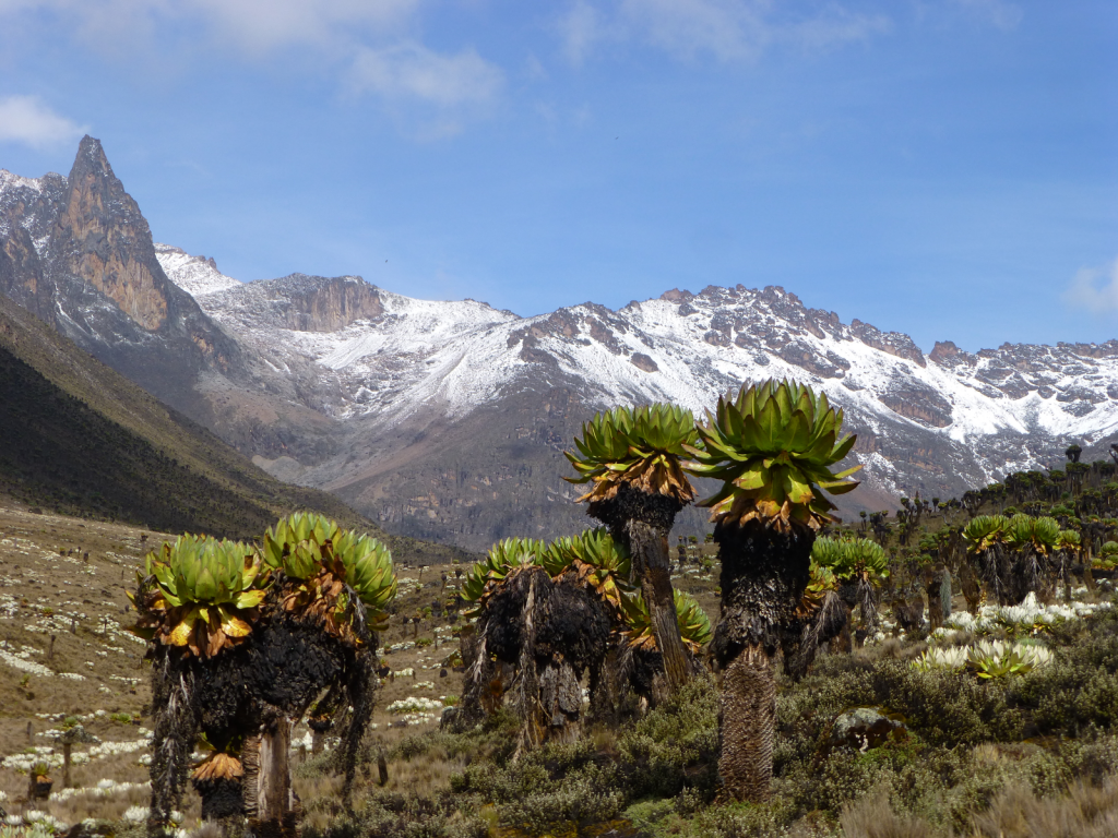Sirimon and Naro Moru routes | Kenya Treks